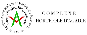 Inscription | CH Agadir